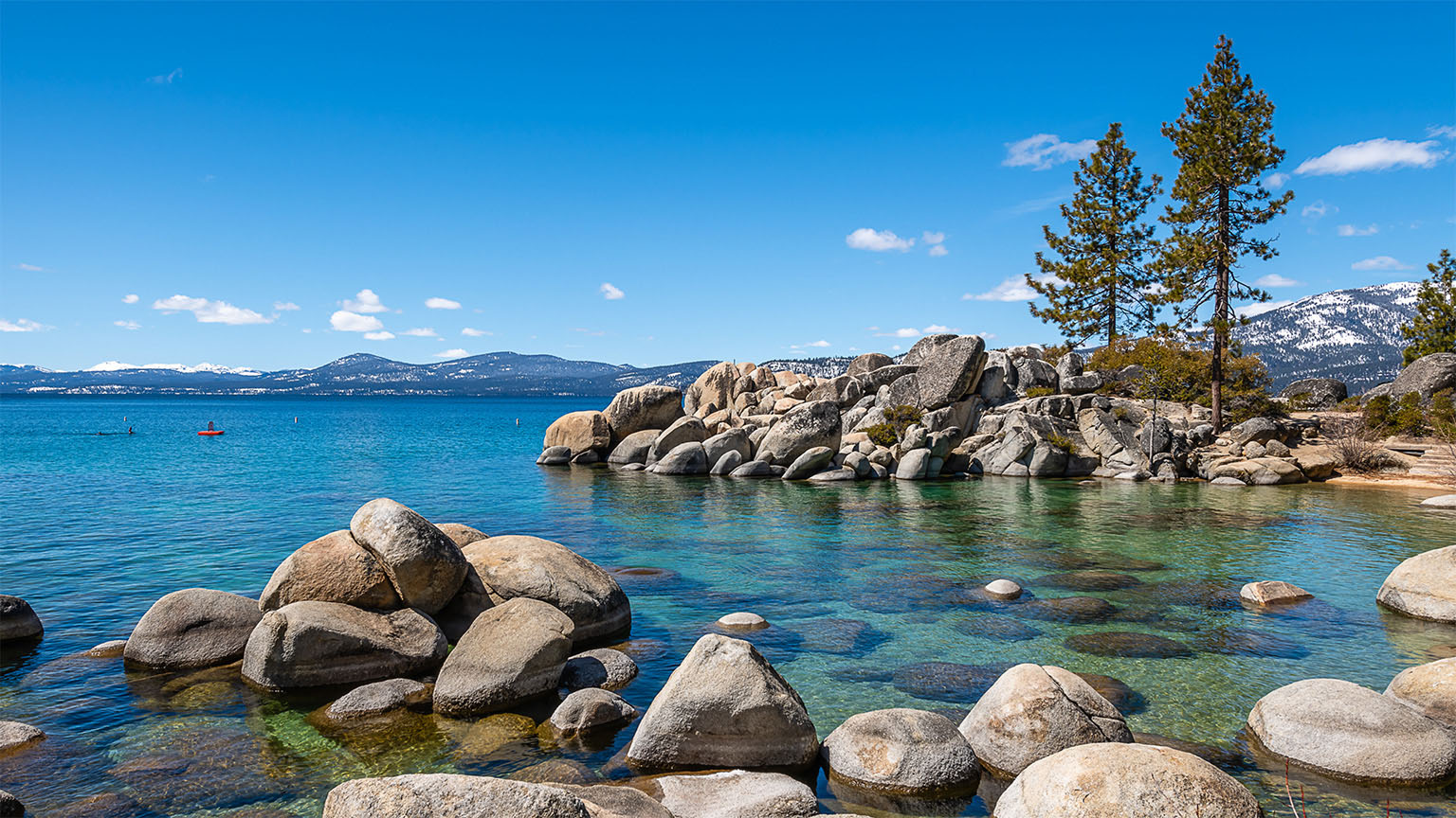 Nature's Healing Power for Mental Health - Salience Health